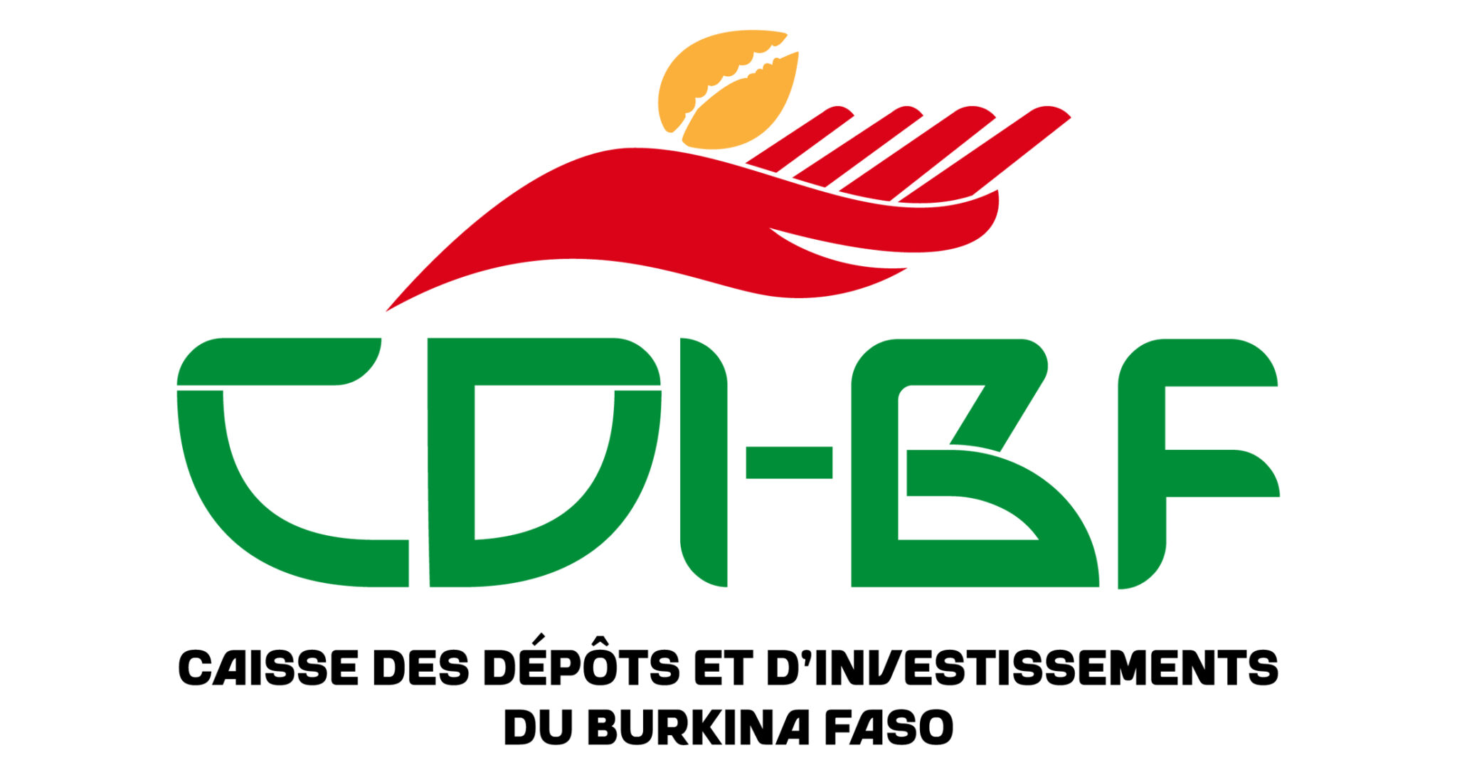 Identité visuelle - CDI-BF